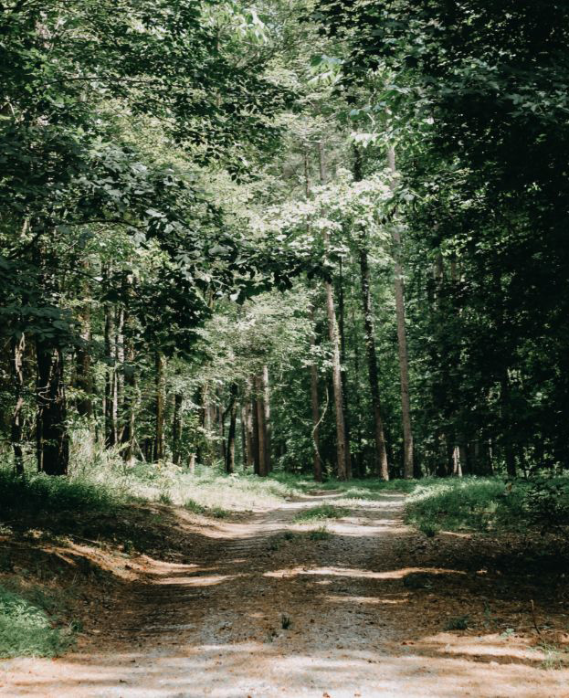 Riverchase Estates - Our Amenities
